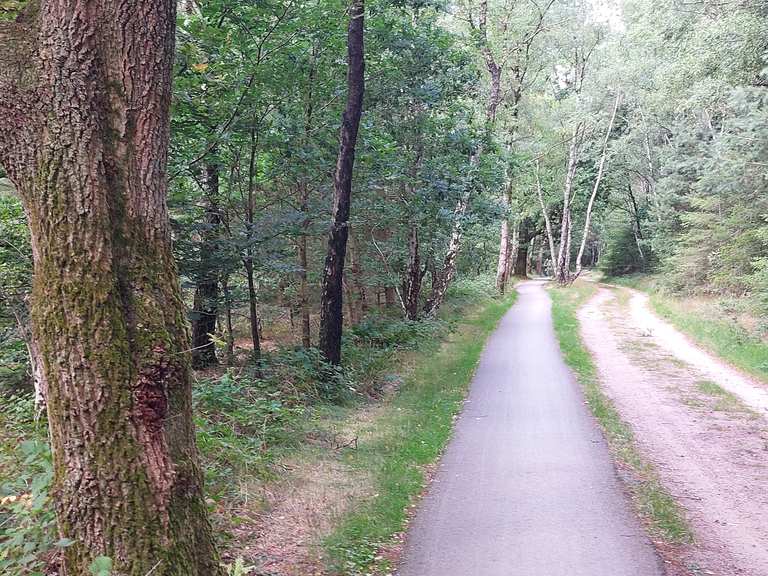 Veense weg mooi fietspad . Up en down fietsroutes en kaart | Komoot
