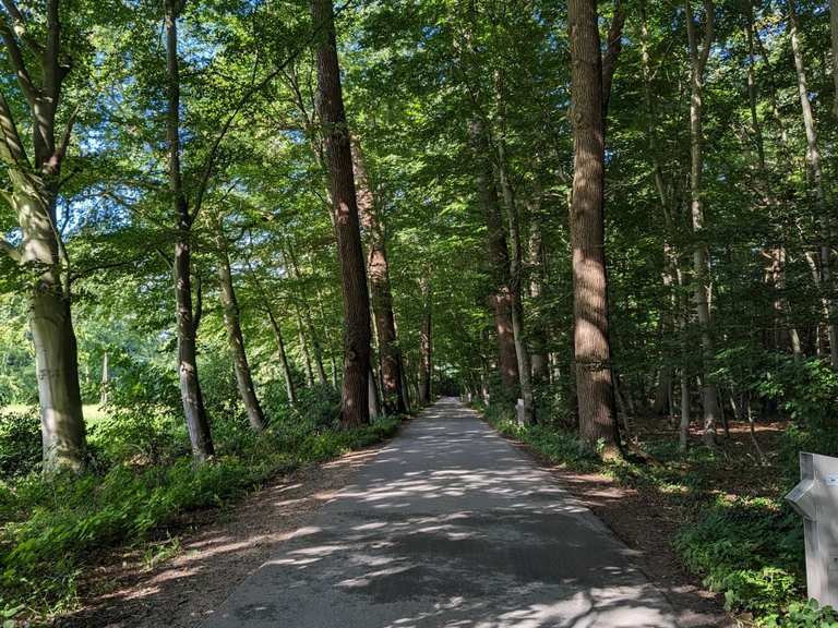 Alter Postweg : Radtouren und Radwege | komoot