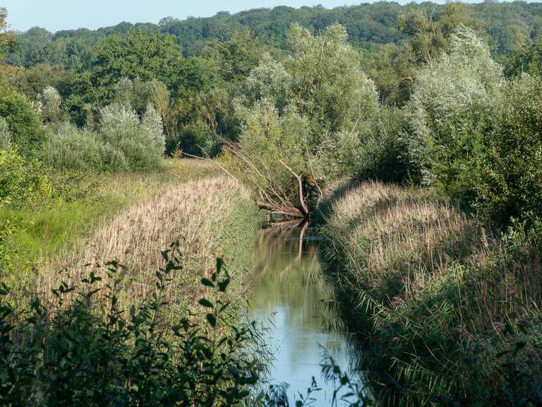 Lac du Val Joly par le château de Trélon — boucle depuis Eppe-Sauvage ...