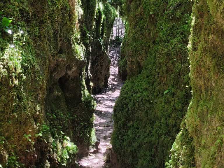 Circuit des Canoles par la maison forestière – Parc naturel régional ...