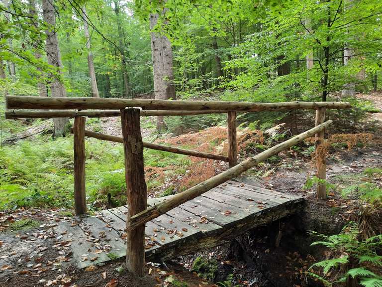 Hütter Wohld: Wanderungen und Rundwege | komoot