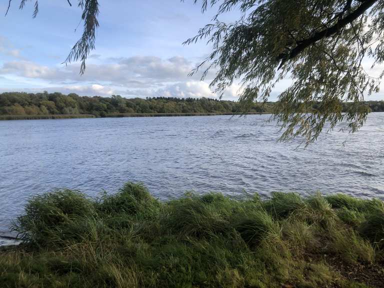 Lough Neagh shore near Antrim: Wanderungen und Rundwege | komoot