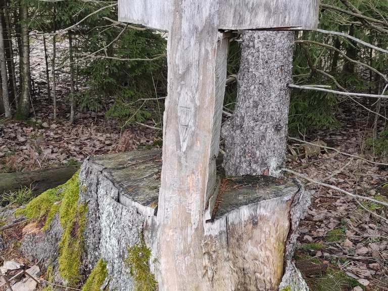 Wooden Cross in Tree Stump – Hikes & How to Get There | Komoot