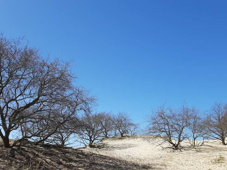 Senda ciclista por debajo de las Zeepeduinen: Rutas de cicloturismo ...