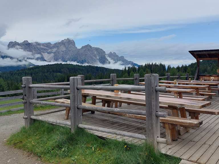 Malga Nemes (Alpe Nemes Hut) - Mountain Bike Trails & Tracks | Komoot