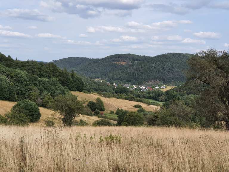 Aussichtspunkt Medenbach: Mountainbike-Touren und -Trails | komoot
