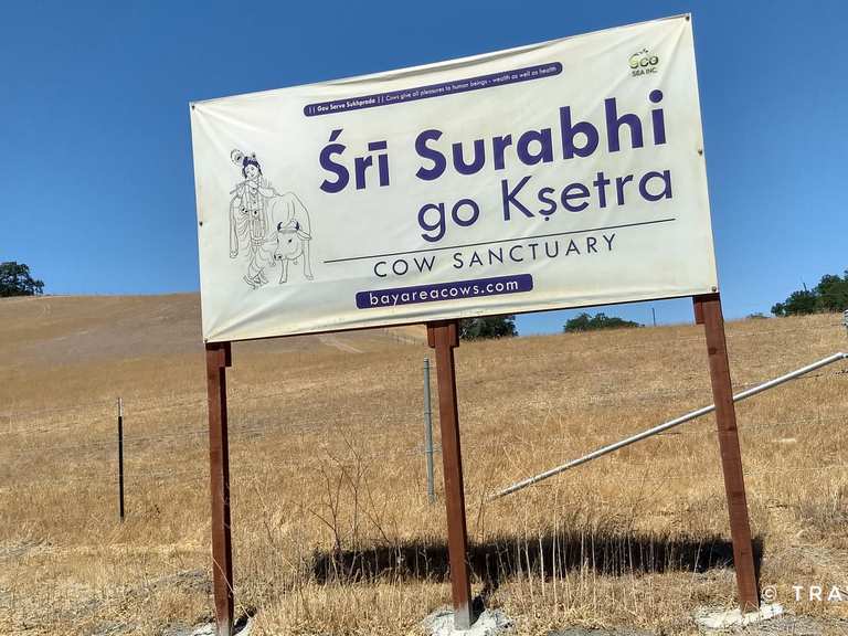 Knob Point & Old Finley Road double loop — Morgan Territory Regional ...