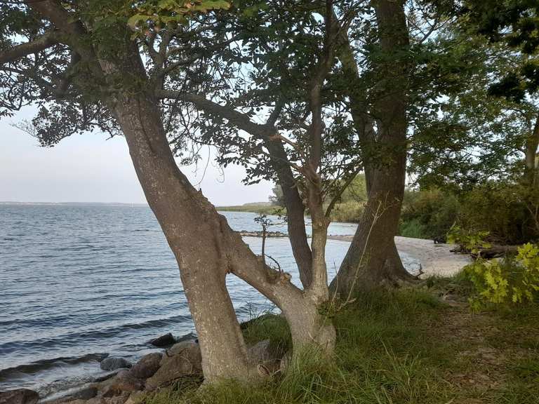 Famous Outhouse on Usedom Island – Hikes & How to Get There | Komoot