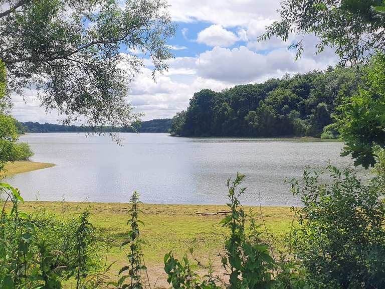 Ardingly Reservoir: Touren und Karten | komoot