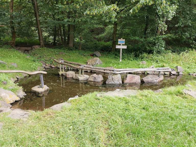 Natural Kneipp water treading pool in Naturpark Kellerwald-Edersee ...
