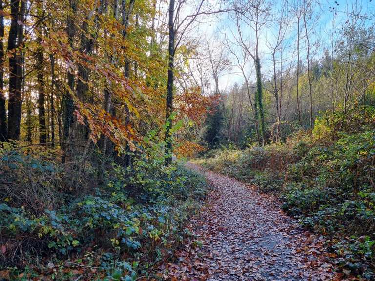 Lough Oughter : percorsi escursionistici e trekking | Komoot