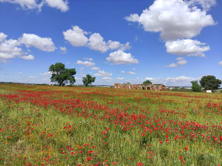 De Bolaños de Calatrava à la Virgen del Monte – circuit par le chemin ...
