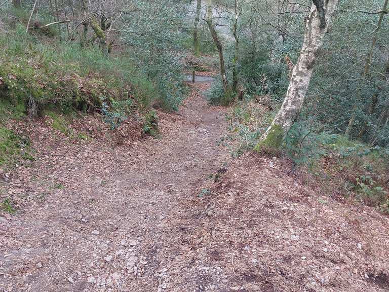 Drovers Way Bridleway – trasy MTB | Komoot