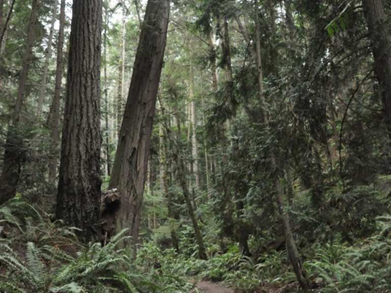 Beach Trail — Miller Peninsula State Park | hike | Komoot