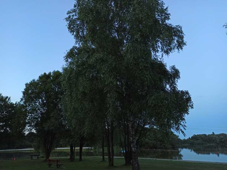 Seebad Sander See : Radtouren und Radwege | komoot