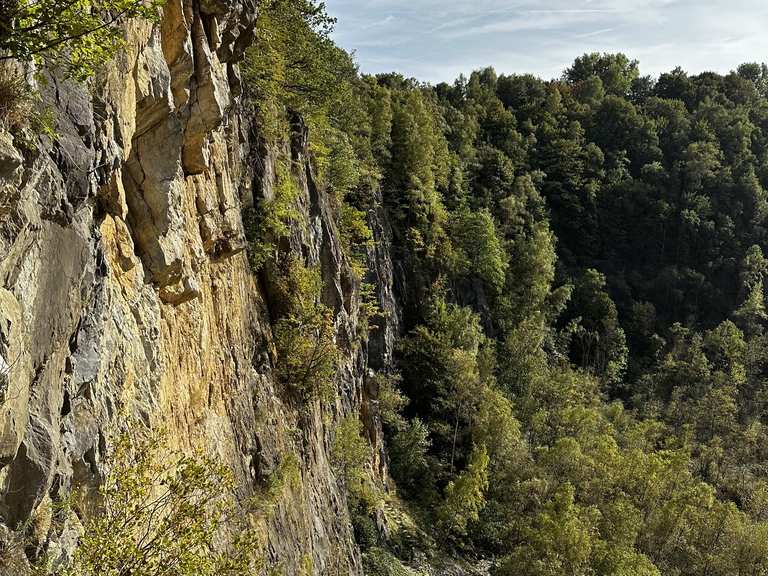 Bochumer Bruch: Wanderungen und Rundwege | komoot