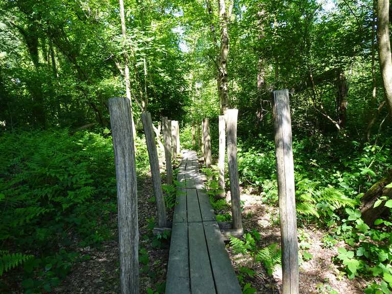 Vallei van de Serskampse Beek - wandelroutes en hikes | Komoot