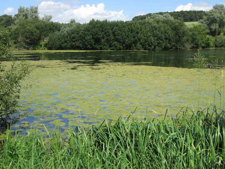 Rough Park and Shardeloes Lake loop from Amersham — Chiltern Hills AONB ...