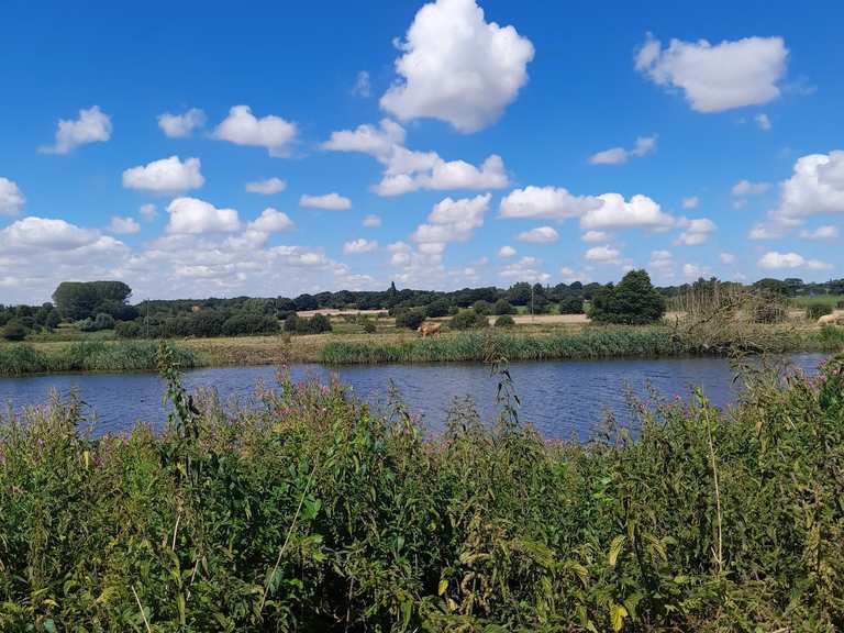 Whitlingham Great Broad & Surlingham Church Marsh via Wherryman's Way ...