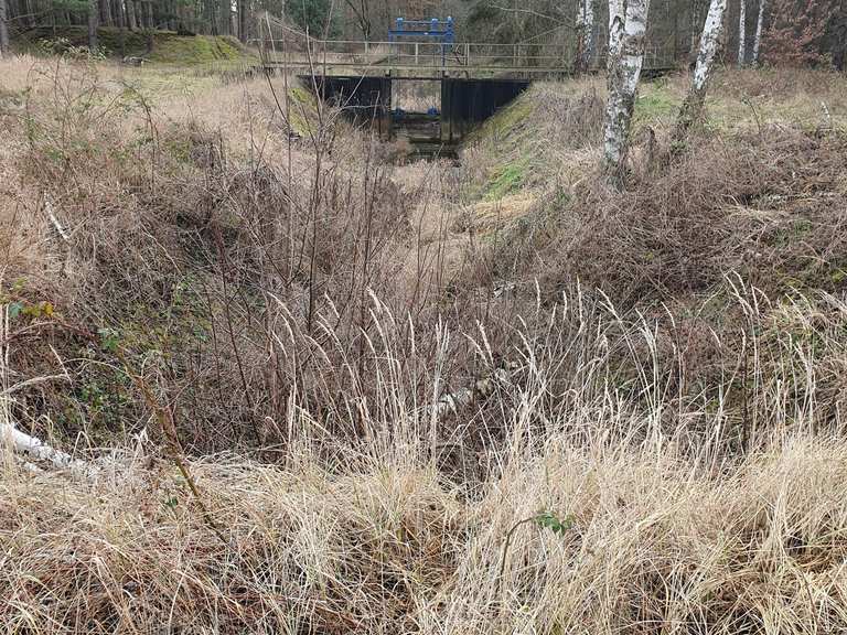 Kanał Tranitzfließ dla jeziora Klinger – trasy piesze | Komoot