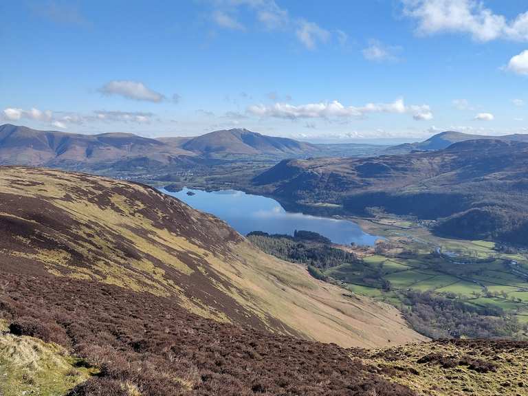 Newlands Round (6W) CA12 5TW | Wanderung | Komoot