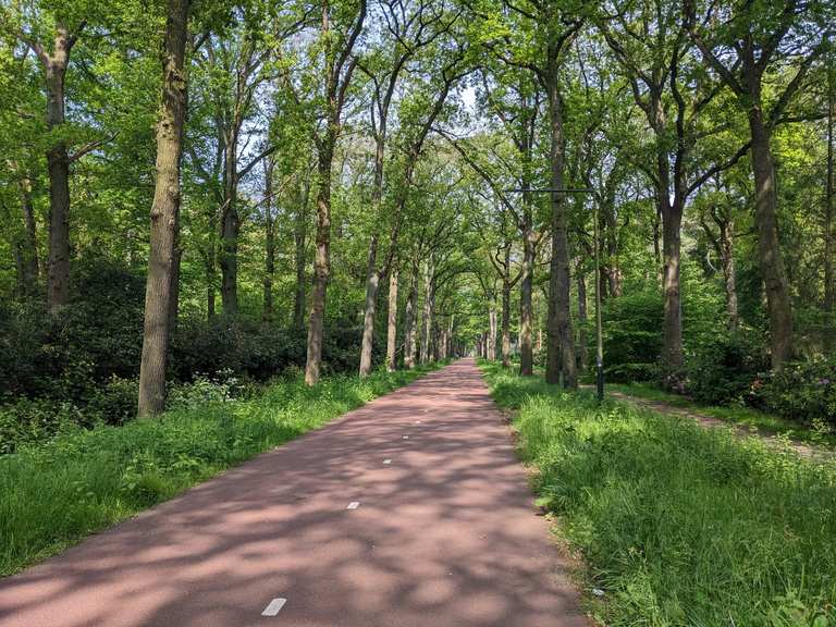 Breed fietspad over een autovrije weg - fietsroutes en kaart | Komoot