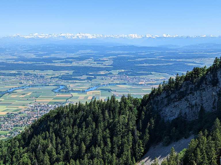 Oberer Grenchenberg: Wanderungen und Rundwege | komoot
