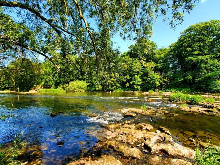 Harestanes loop via Floors Castle | road ride | Komoot