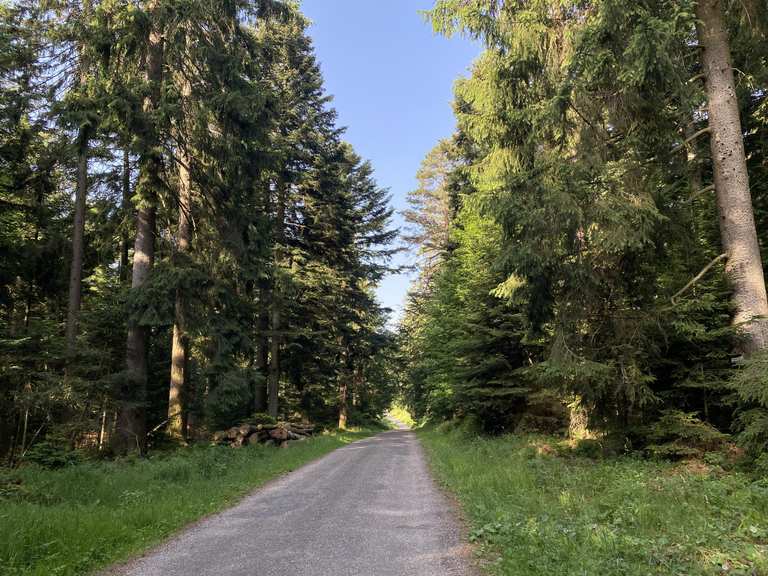 Nordschwarzwald Loop - Tour de Murg & Schwarzwald Panorama Radweg ...