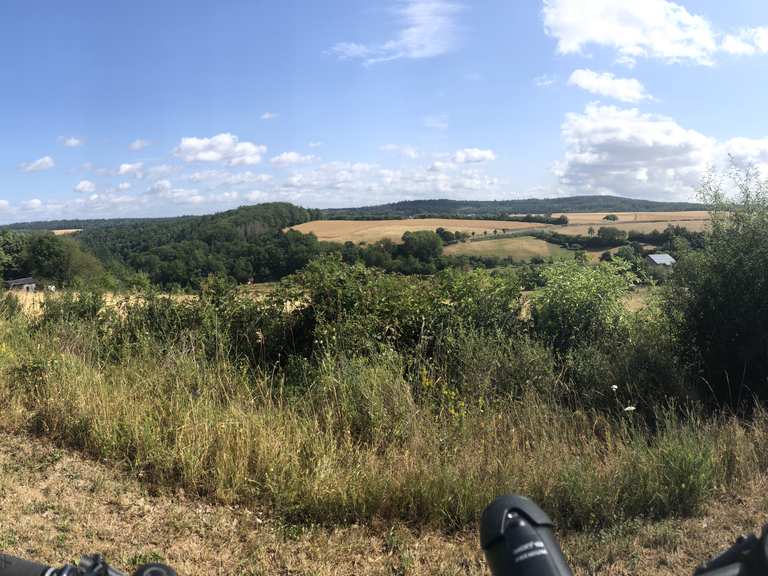 Schillereiche Rest Area – Hiking & Cycling Routes | Komoot