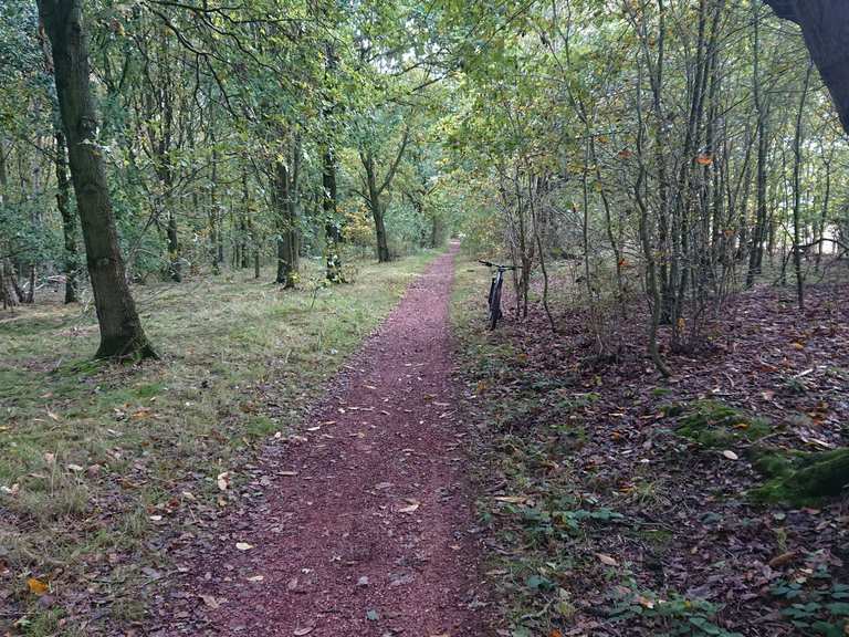 Clumber Park - Mountain Bike Trails & Tracks | Komoot