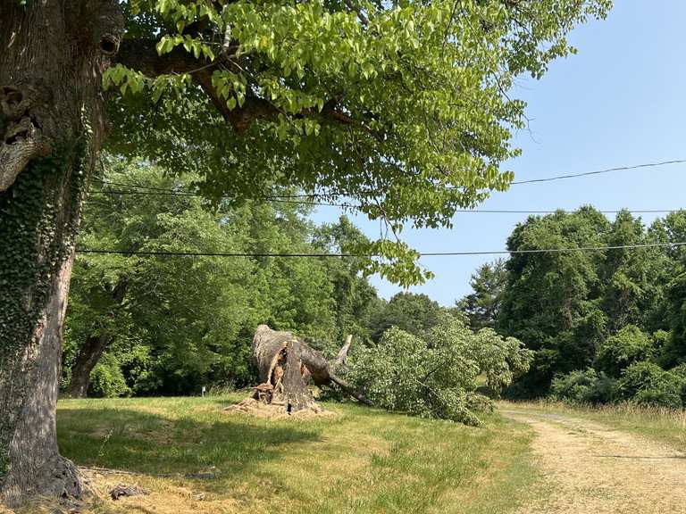 Union Mills Trail & Bull Run Occoquan Trail loop — Hemlock Overlook ...