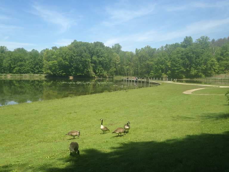 Kendall Lake Trail Loop and Salt Run Trail — Cuyahoga Valley National ...