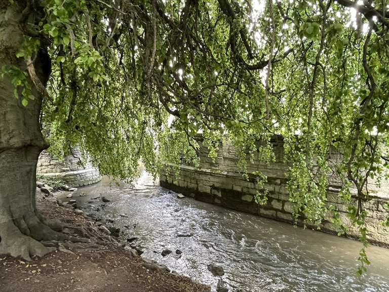 Rivier De Jeker: Wanderungen und Rundwege | komoot