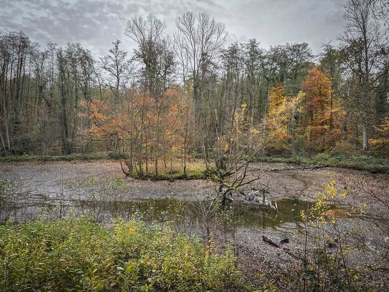 Diana Pond Cycle Routes and Map | Komoot