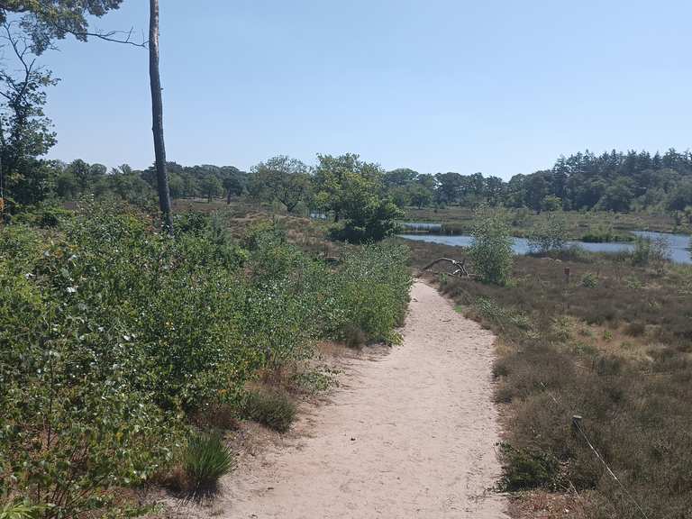 Afwisselende wandelpaden wandelroutes en hikes | Komoot