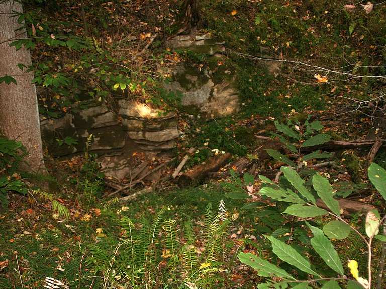 Echo River Springs & Sinkhole Trail Loop — Mammoth Cave National Park ...