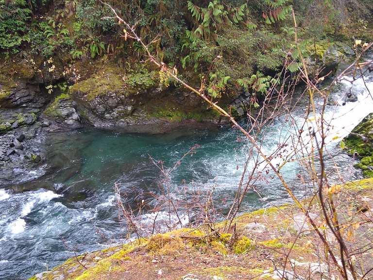 Duckabush River vis Ranger Hole Trail — Olympic National Forest | hike ...