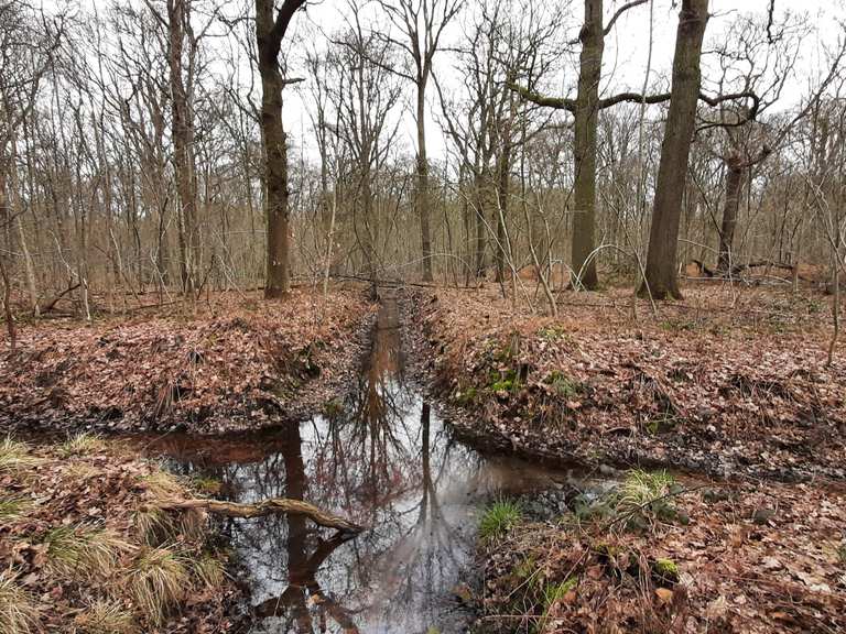 Het Peerdsbos: Wanderungen und Rundwege | komoot