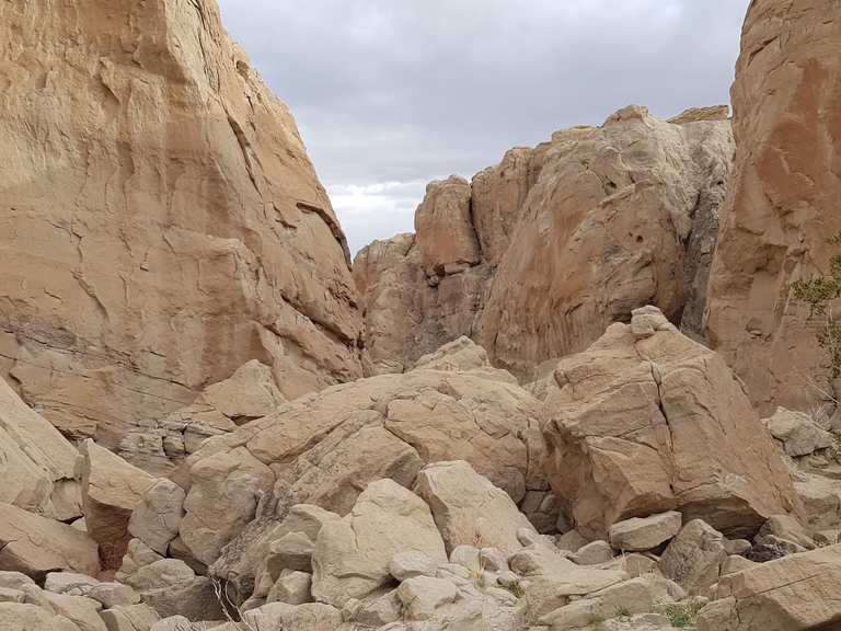 South Fork Palm Wash Canyon à la mine de Calcite — Anza-Borrego Desert ...