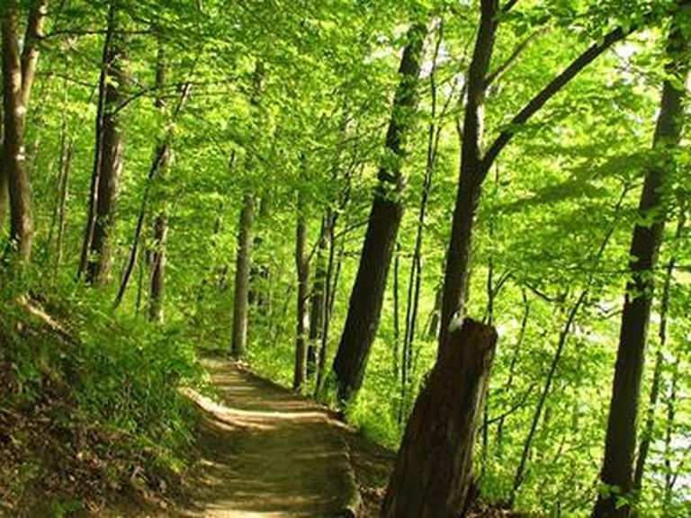 Barton-Argo Loop Trail — Ann Arbor | hike | Komoot