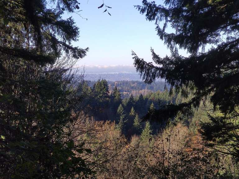 Indian, Shy Bear, and Quarry Loop | hike | Komoot