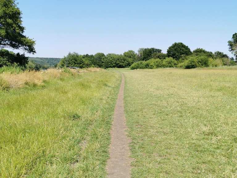 Sulham Woods, Pangbourne & die Schleife des Flusses Themse von ...