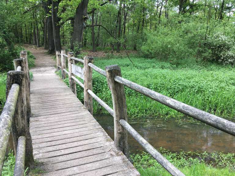 Bruggetje over de Rosep wandelroutes en hikes | Komoot