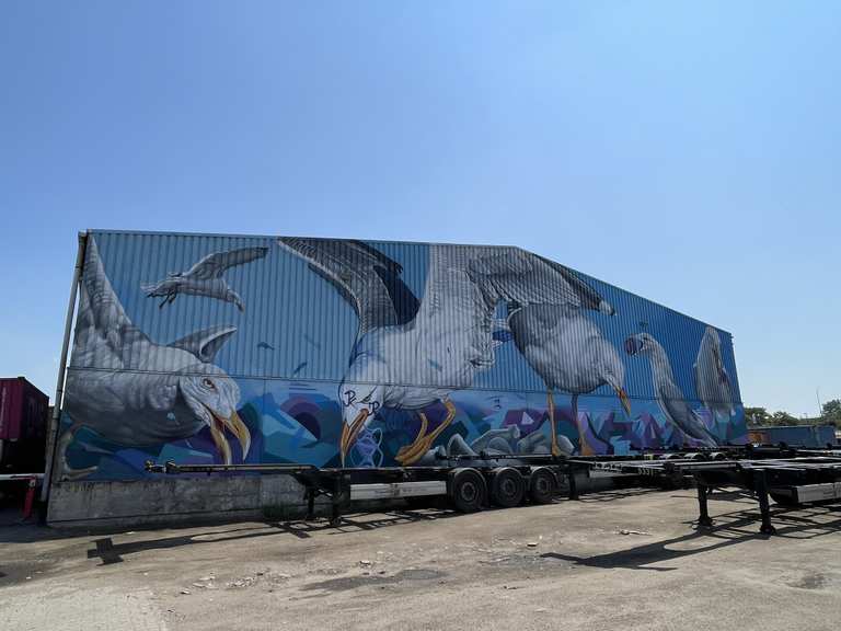 Seagull Mural in Hamburg – Hiking & Cycling Routes | Komoot