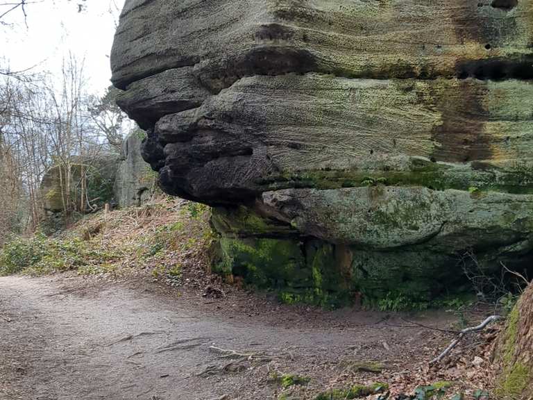 Eridge Rocks Routes for Walking and Hiking | Komoot