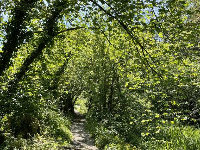 Boucle de la vallée de Sapperton via Thames & Severn Way -À la ...