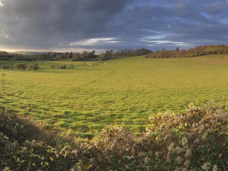 Elvendon Lane and Hartslock Nature Reserve loop from Goring and ...