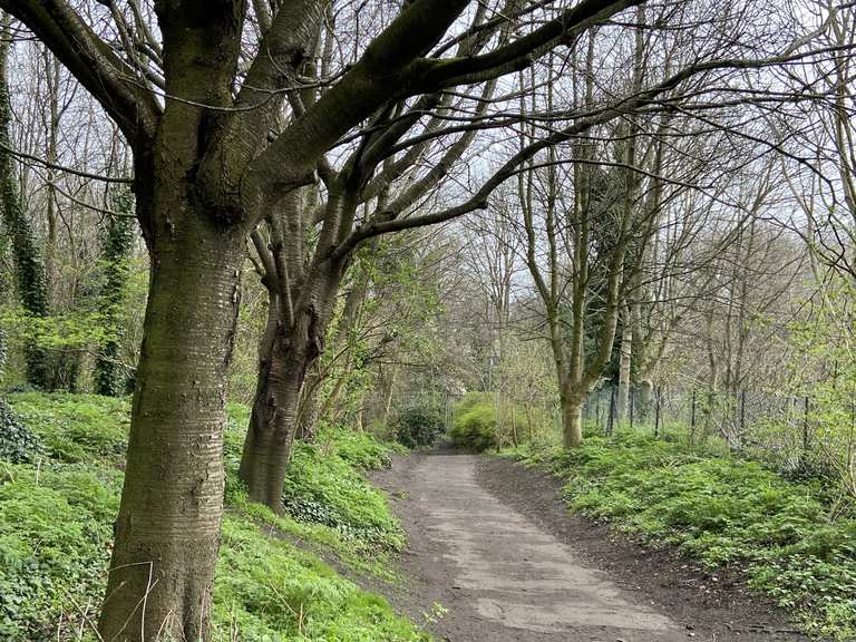 Water of Leith Walkway Routes for Walking and Hiking | Komoot