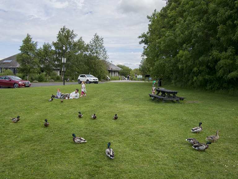 Oxford Island National Nature Reserve: Touren und Karten | komoot